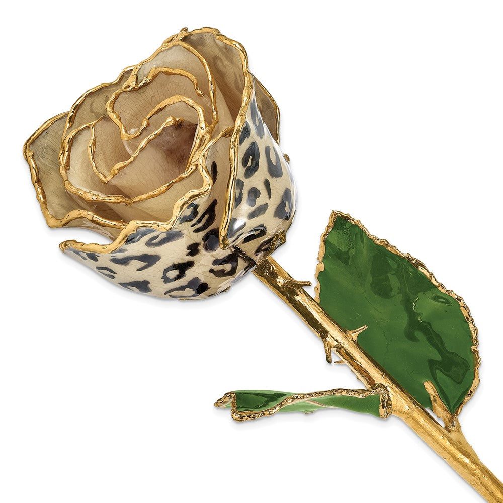 Lacquer Dipped 24k Gold Trimmed Cream/Black Leopard Real Rose – Nubo ...